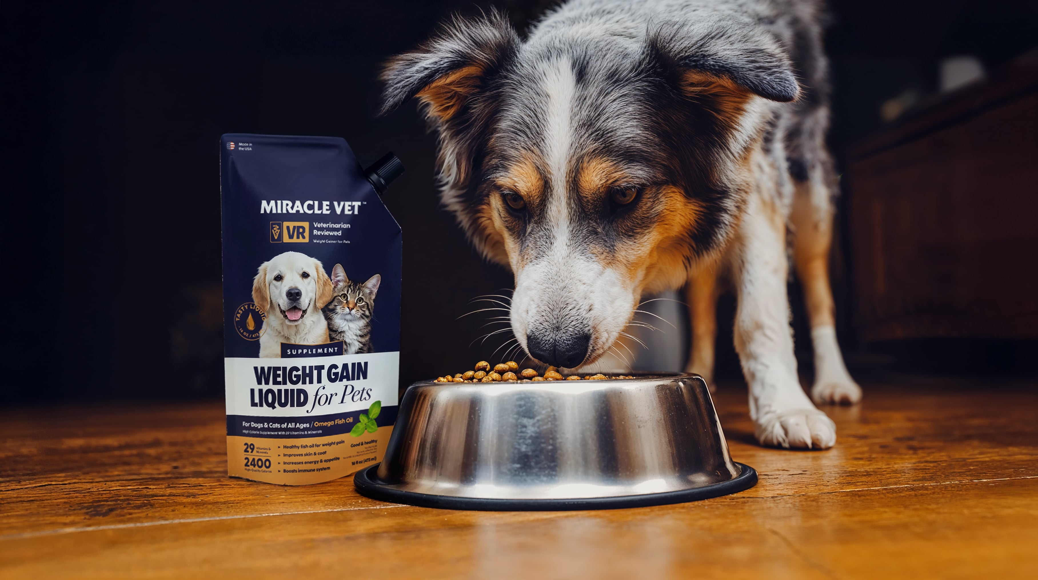 Discover the Popular Dog Weight Gain Supplement