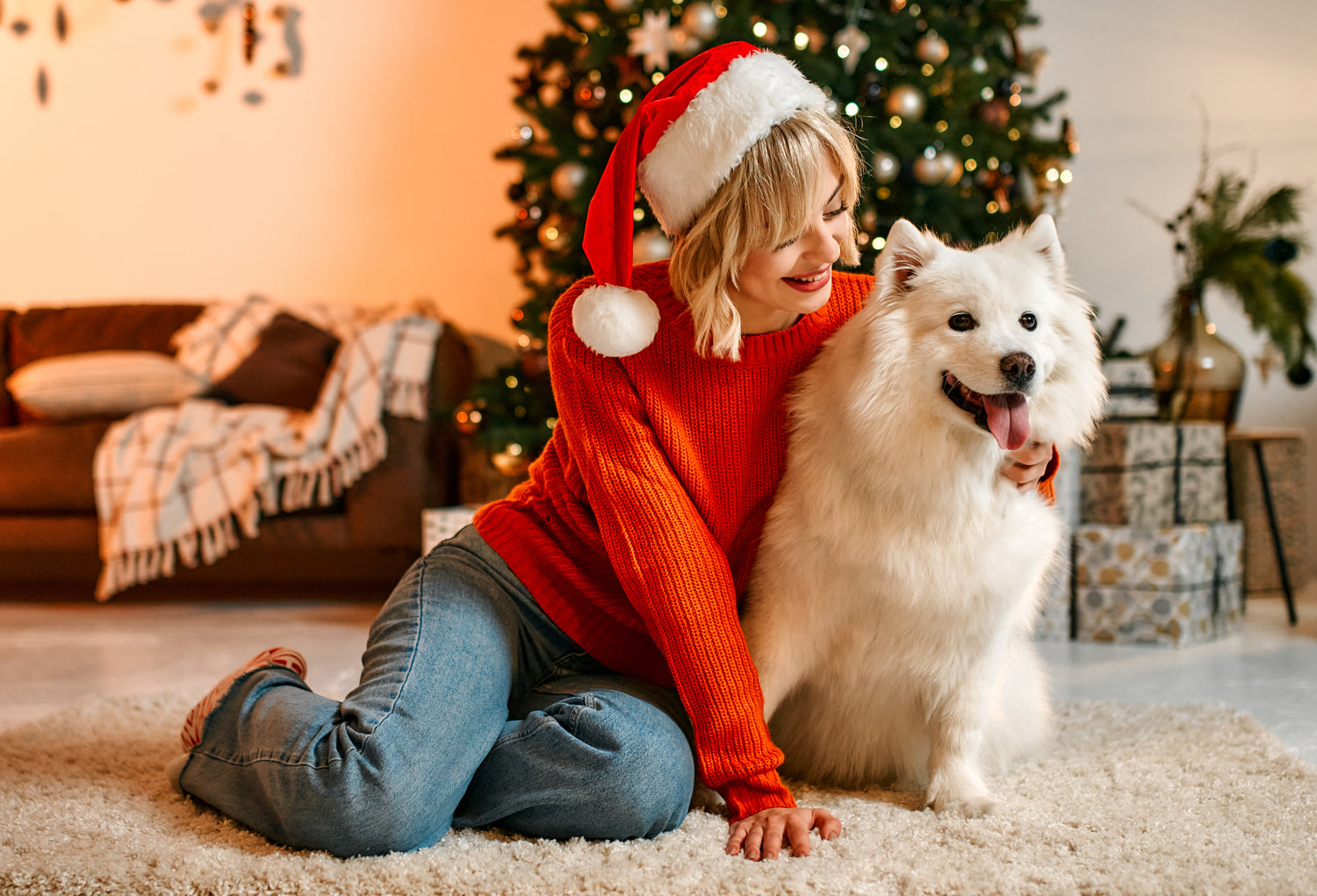 Preparing Your Pet For The Holiday Season - Tips for a Stress Free ...
